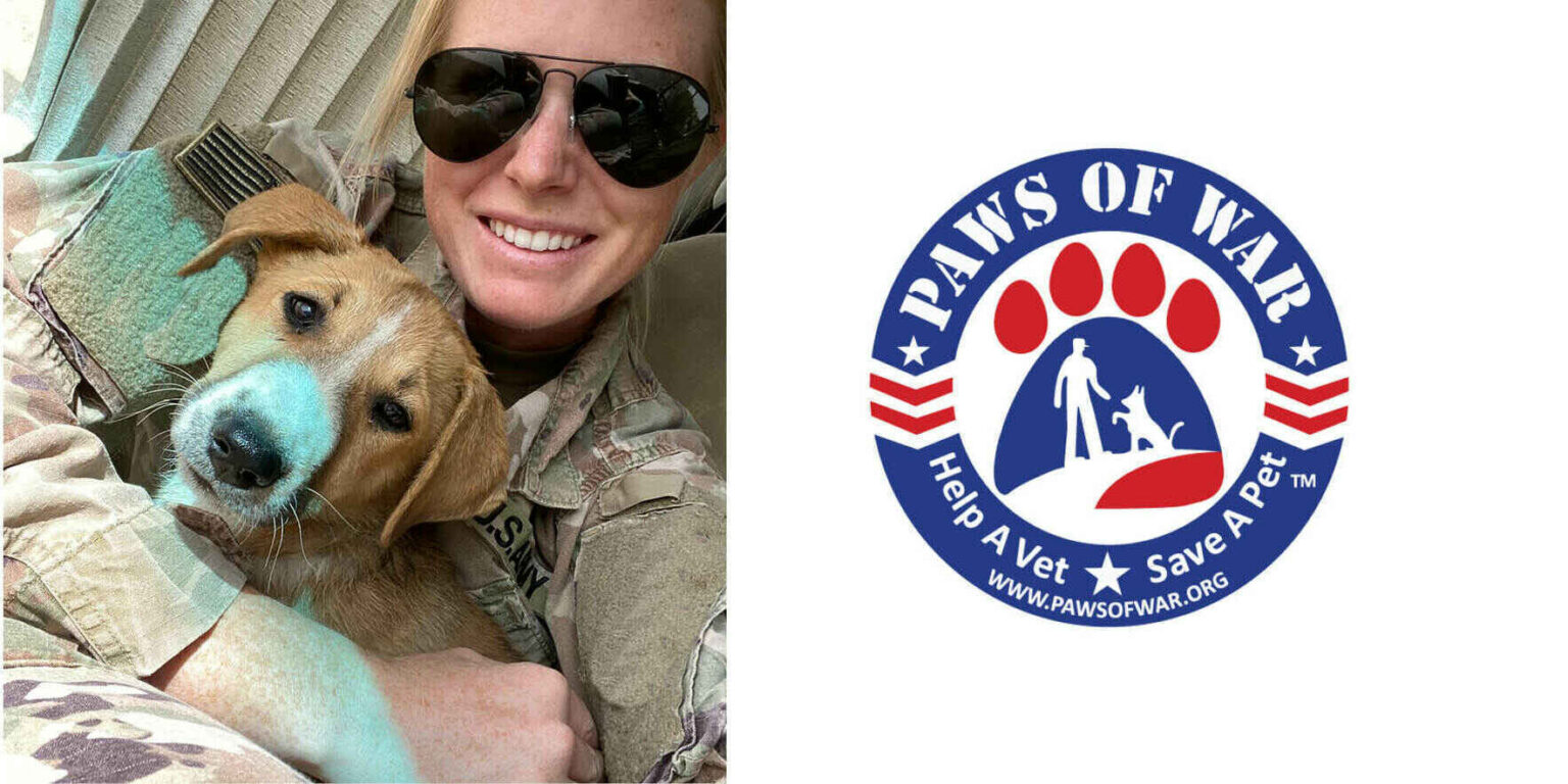 Soldiers Save “Oil Pit Puppies” Overseas, Now Paws of War Needs Public ...